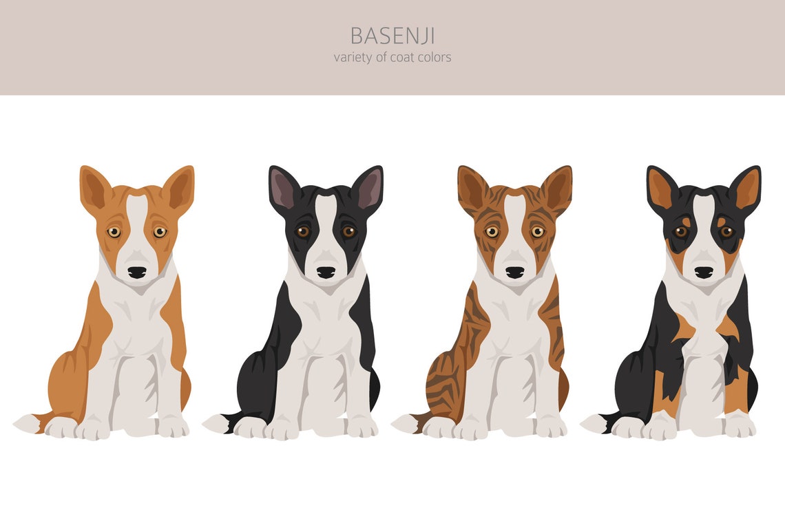Basenji Dog Clipart Bundle, Basenji Puppy Clipart, High Quality PNG ...