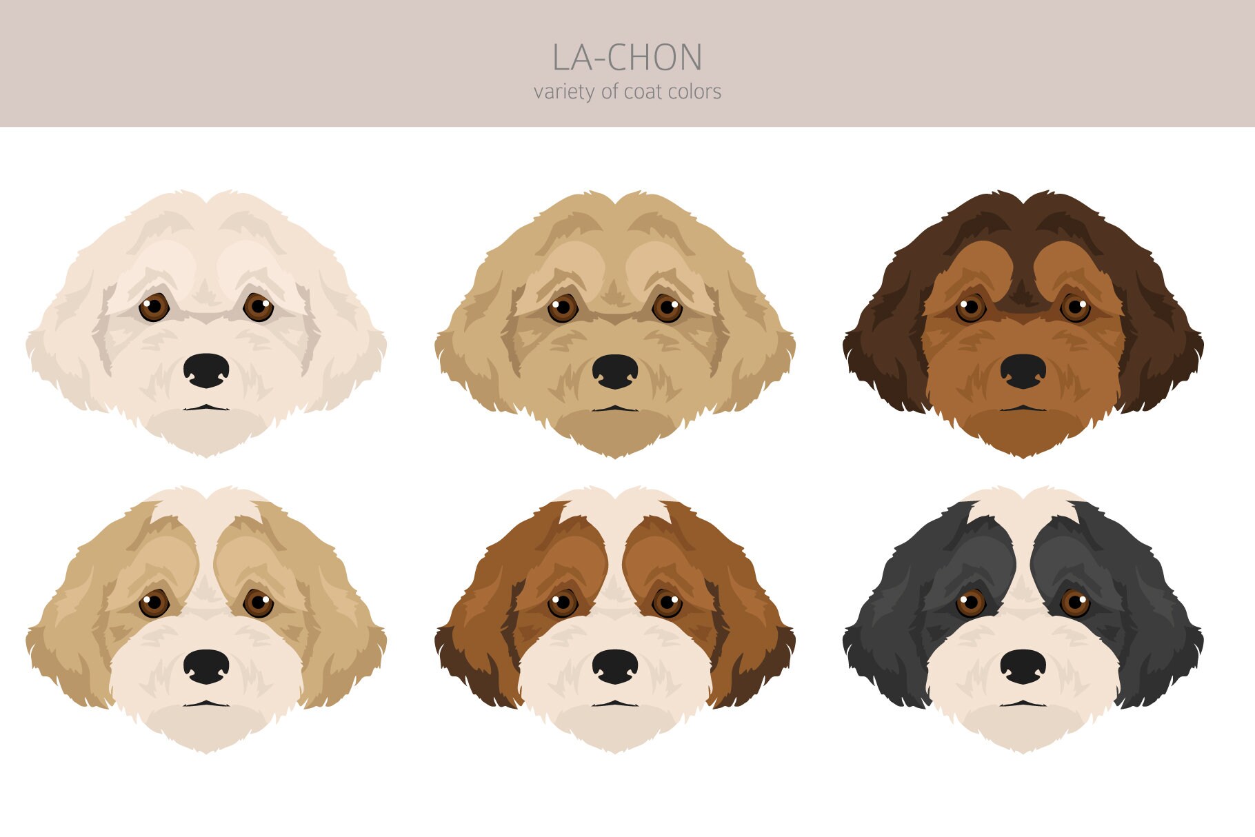 Lhasa Apso Bichon Frise Mix Clipart Bundle, La-chon Puppies Clipart ...