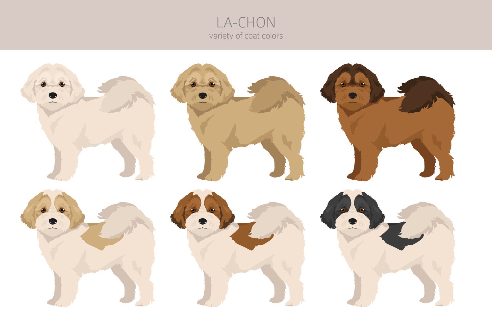 Lhasa Apso Bichon Frise Mix Clipart Bundle, La-chon Puppies Clipart ...