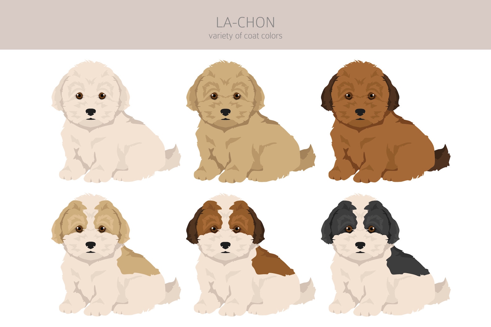 Lhasa Apso Bichon Frise Mix Clipart Bundle, La-chon Puppies Clipart ...