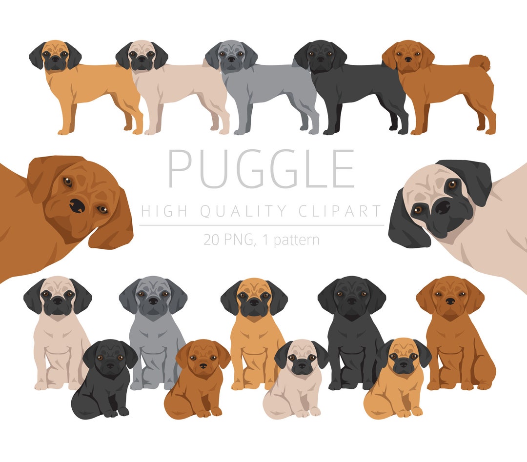 Pug Beagle Mix Clipart Bundle, Puggle Puppies Clipart, Pugle Designer ...