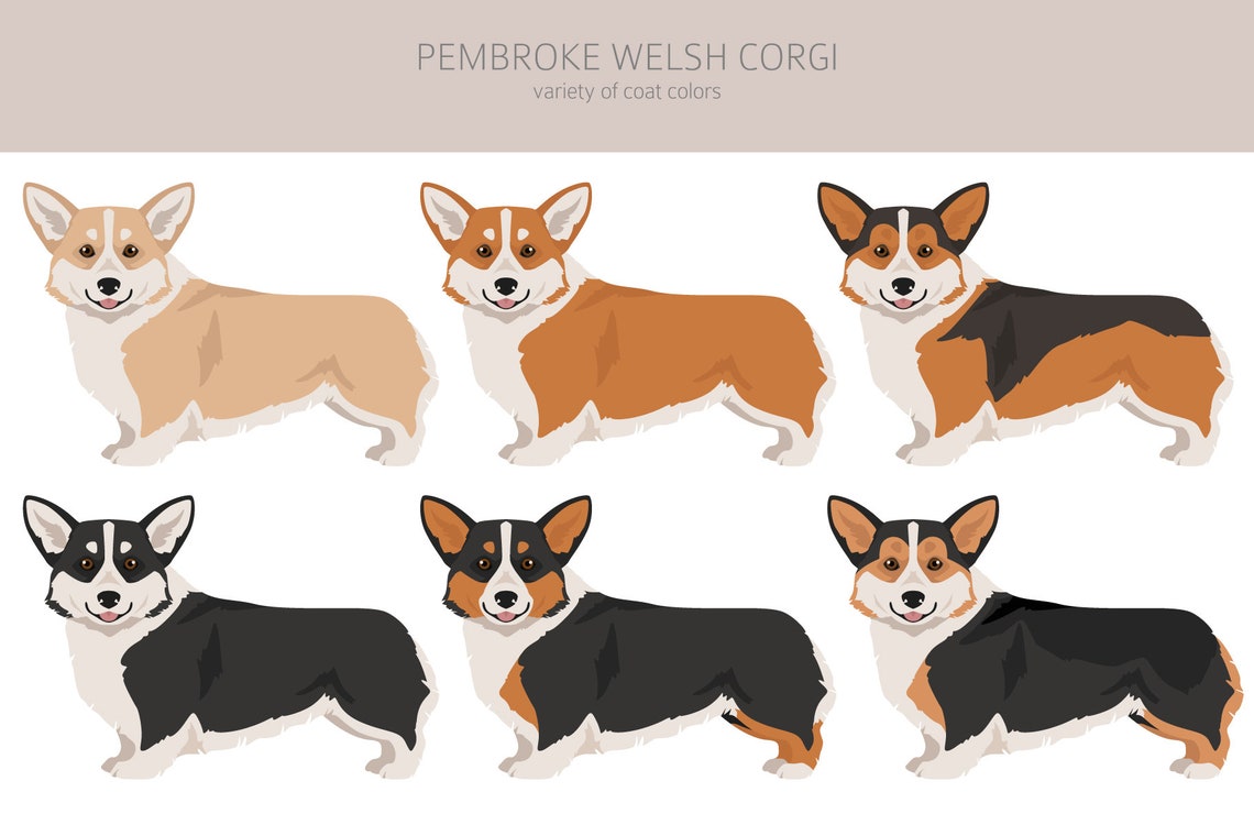 Welsh Corgi Pembroke Clipart Bundle, Pem Corgi Puppy Clipart, Dog High ...