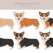 Welsh Corgi Pembroke Clipart Bundle, Pem Corgi Puppy Clipart, Dog High ...