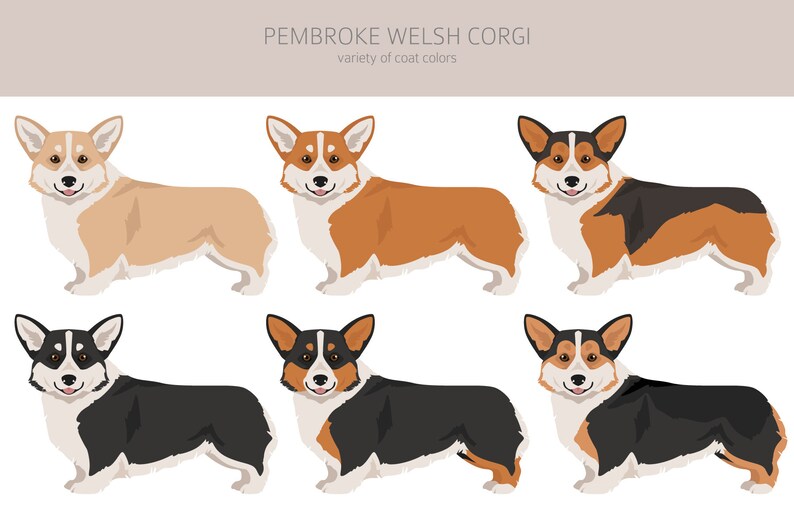 Welsh Corgi Pembroke Clipart Bundle, Pem Corgi Puppy Clipart, Dog High ...