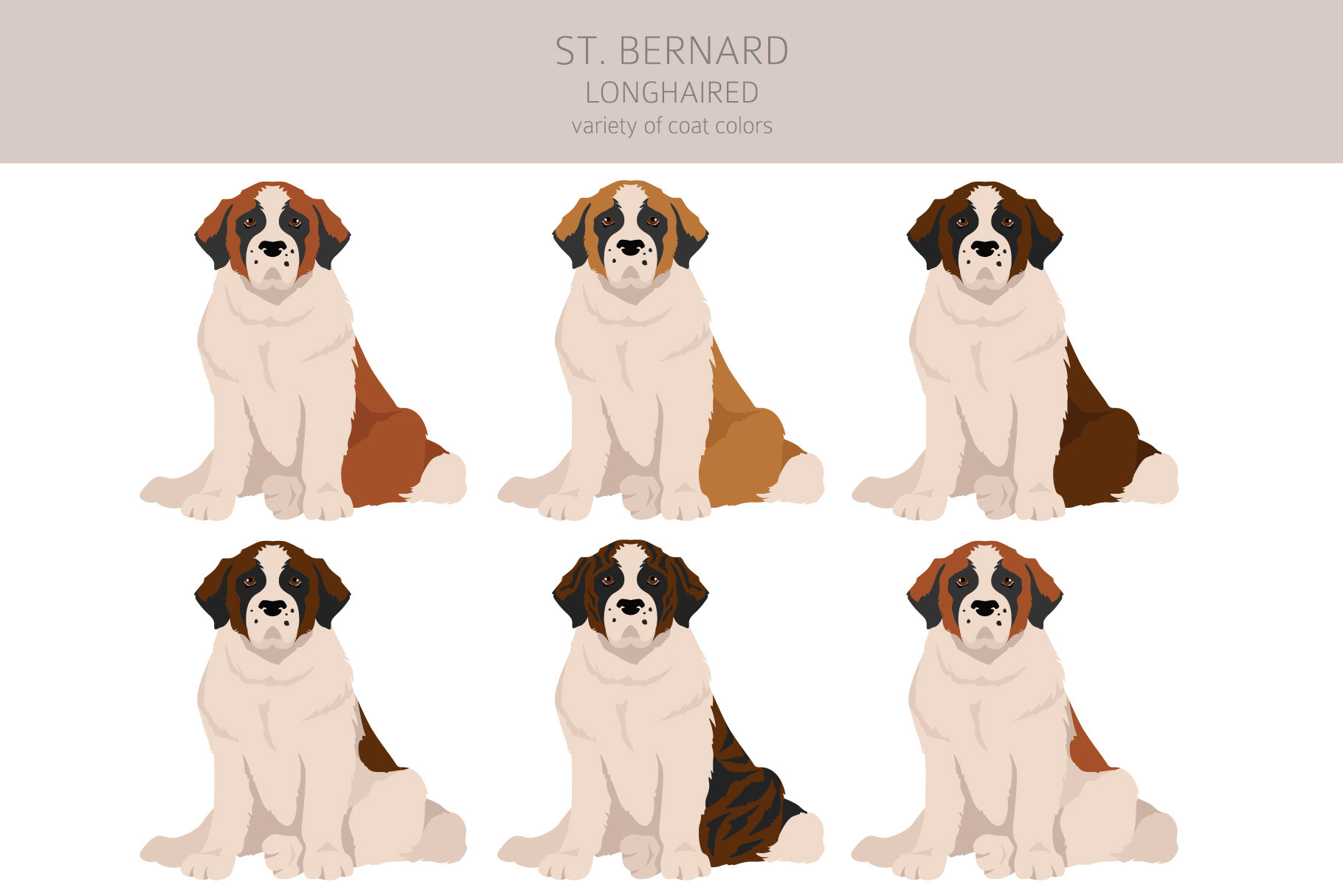 St Bernard Clipart Bundle, St Bernard Puppy Clipart, Dog High Quality ...