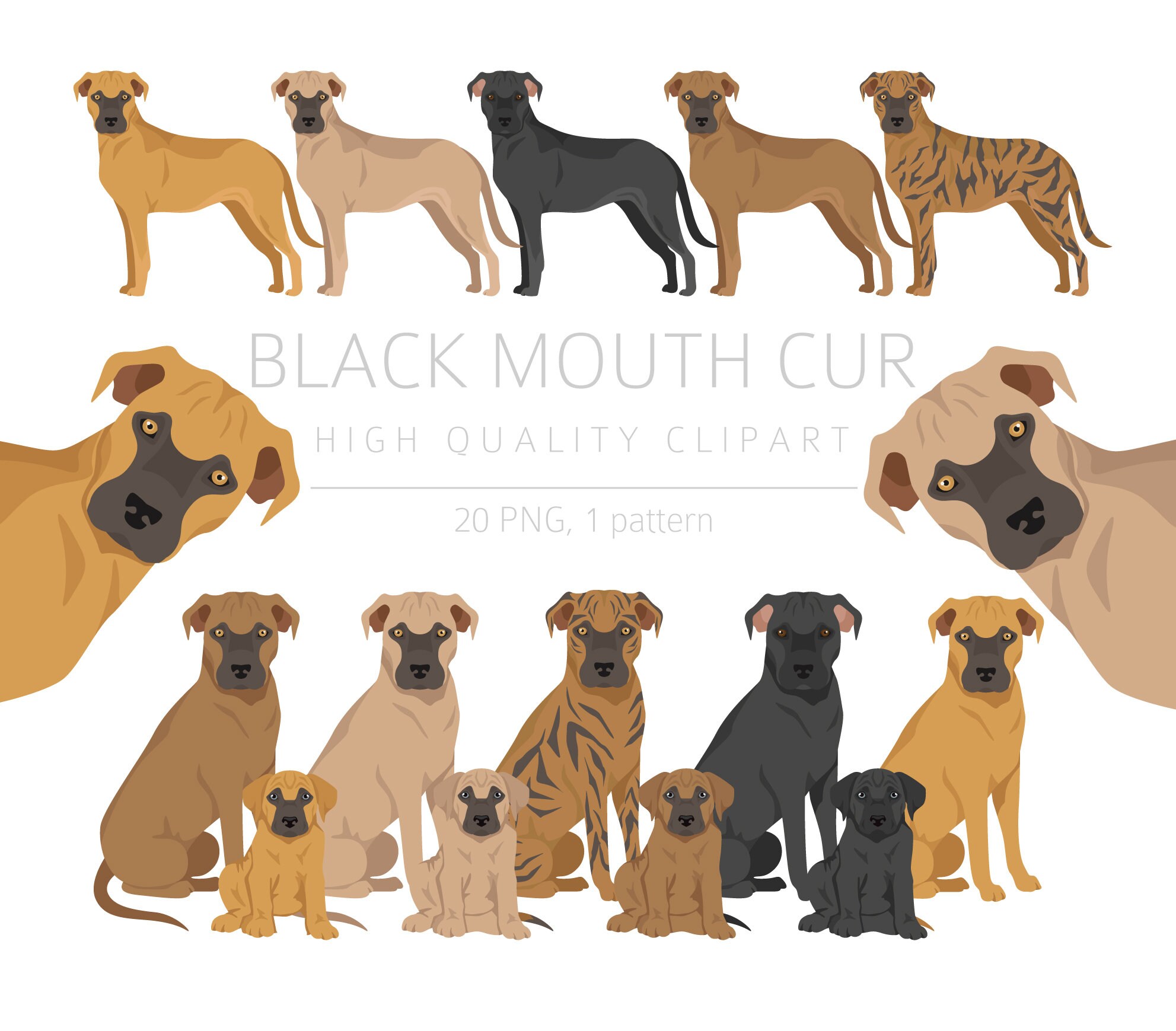 Black Mouth Cur Clipart Bundle, American Cur Puppy Clipart, High ...