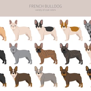 French Bulldog Clipart Bundle, Frenchie Clipart, Dogs High Quality PNG ...