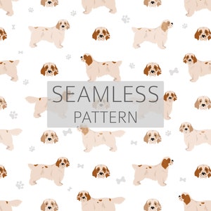 Clumber Spaniel Clipart Bundle, Clumber Spaniel Puppy, Dog High Quality ...