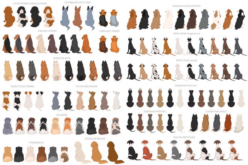 100 Backside Sitting Dog Breeds for Custom Portrait Creation. High ...