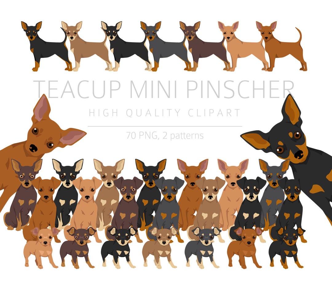 Teacup Miniature Pinscher Clipart Bundle, Puppy Clipart, High Quality ...