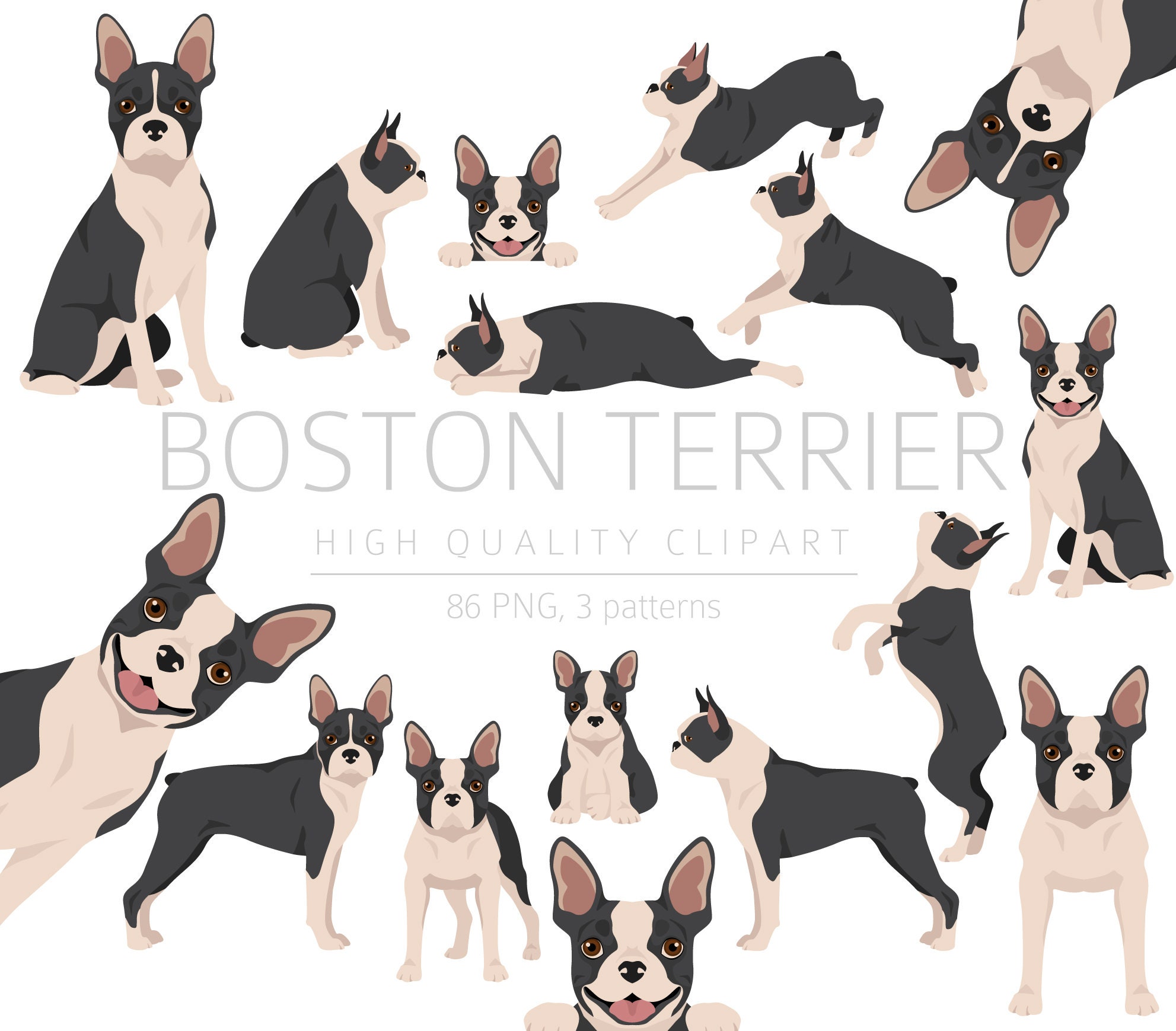 Boston Terrier Clipart Bundle, Boston Terrier Puppy Clipart, Dog High ...