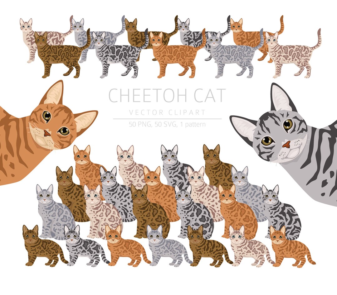 Cheetoh Cat Clipart for Commercial Use, Cheetah Cat Custom Coat Color ...