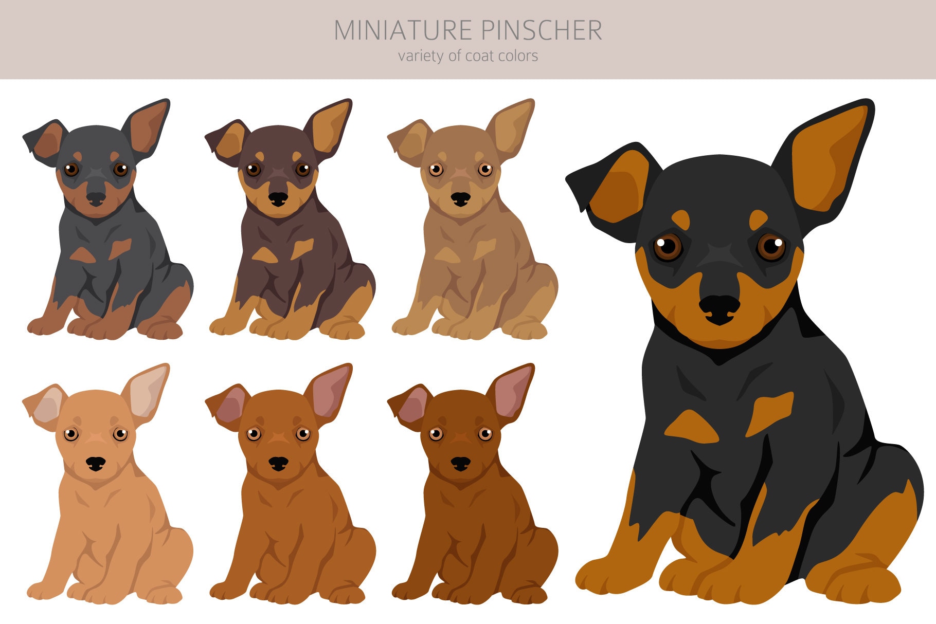 Miniature Pinscher Clipart Bundle, Miniature Pinscher Puppy Clipart ...