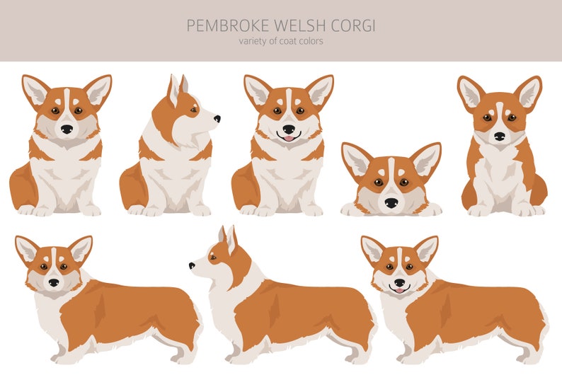 Welsh Corgi Pembroke Clipart Bundle, Pem Corgi Puppy Clipart, Dog High ...
