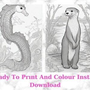 Ocean Inspired Coloring Pages Underwater Animals Coloring - Etsy