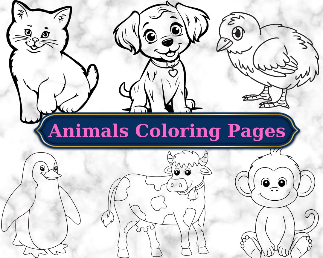 Adorable Animal Kingdom: Preschool Coloring Pages for Endless ...