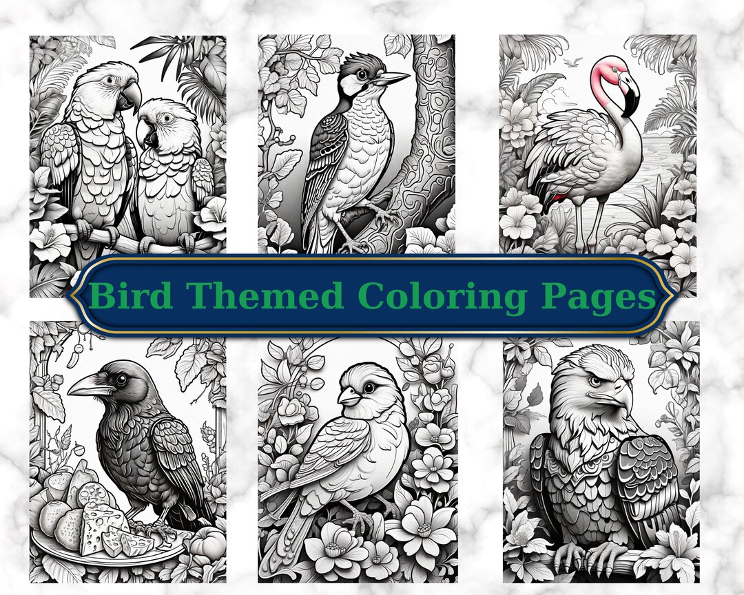 Bird Coloring Pages Printable Avian Art for Kids Feathered Friends ...