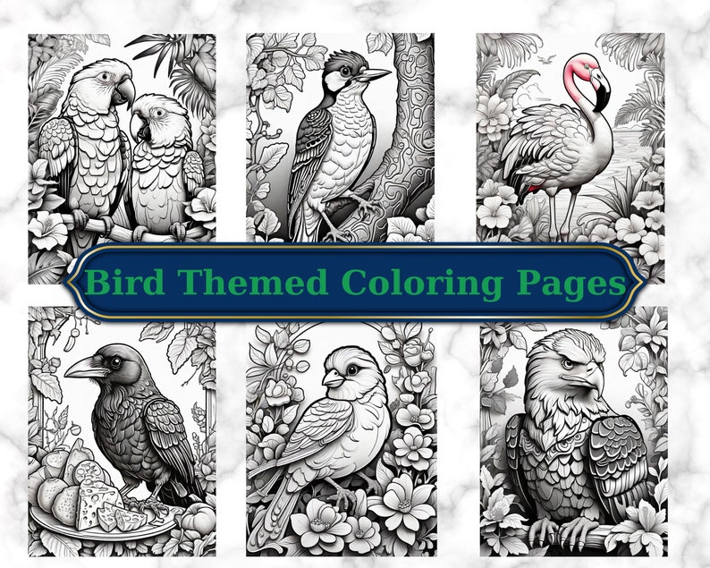 Bird Coloring Pages Printable Avian Art for Kids Feathered Friends ...