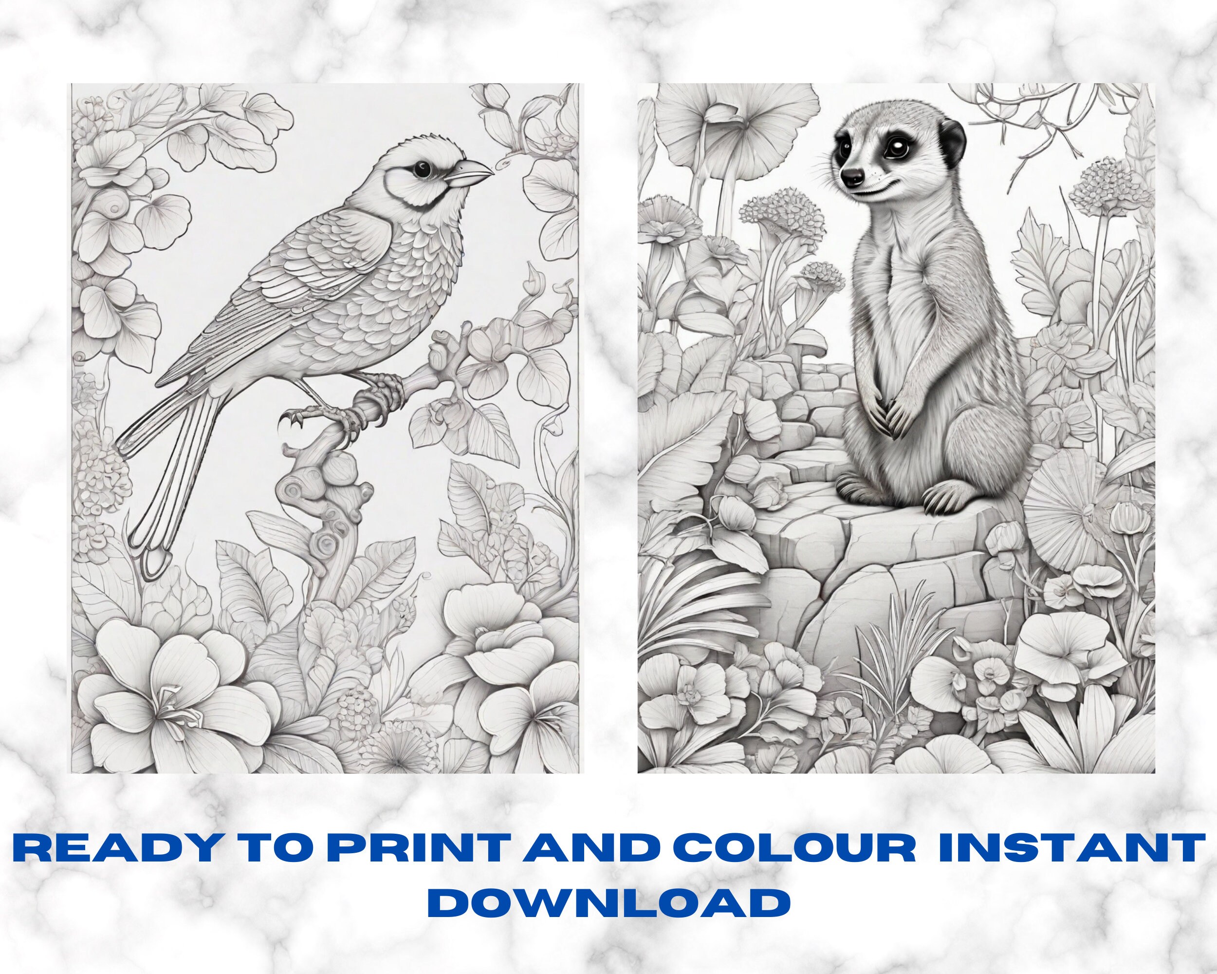 Animal Coloring Pages Printable Wildlife and Pet Pictures for ...
