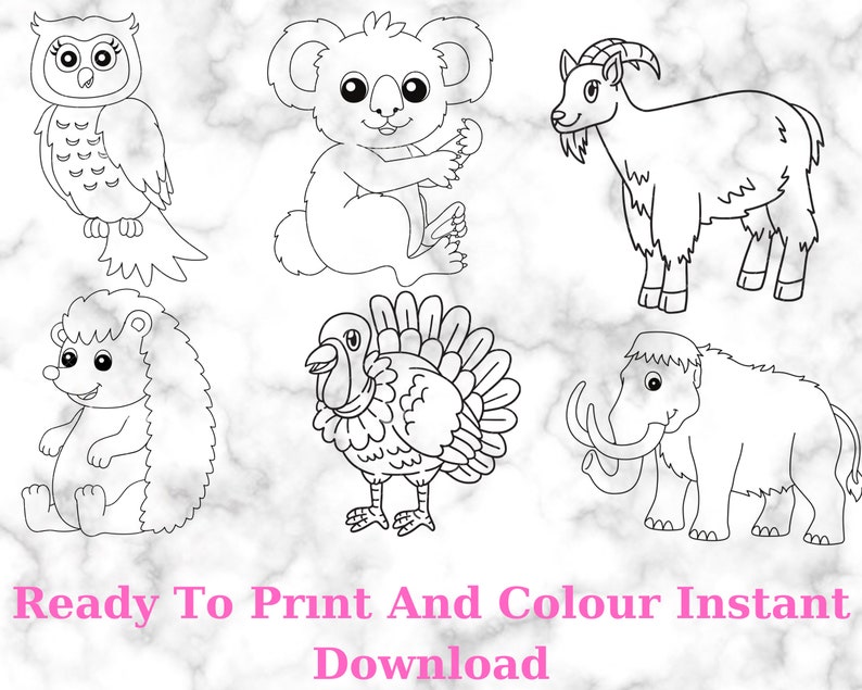 Adorable Animal Kingdom: Preschool Coloring Pages for Endless ...