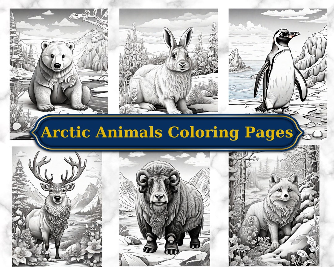 Arctic Wonders: Printable Coloring Pages of Polar Animals for Creative ...