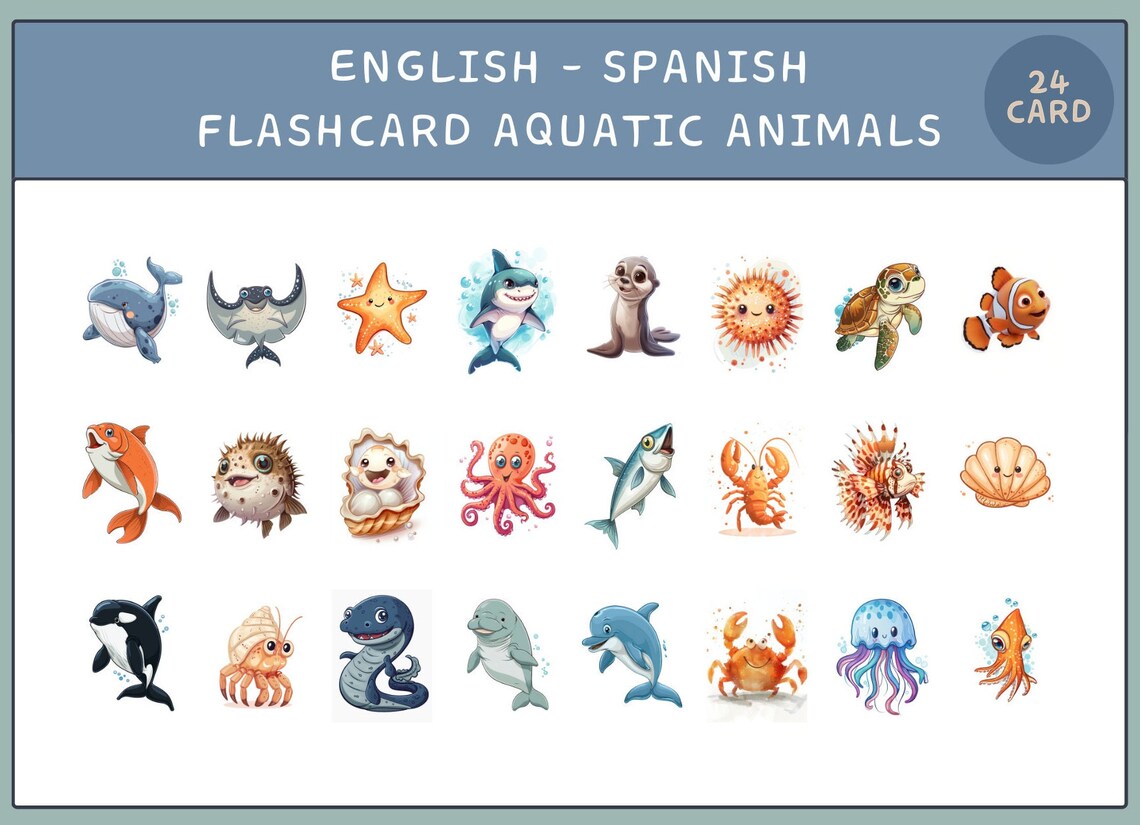 Aquatic Animals Flashcards English and Spanish Vocabulary set of 24 - Etsy