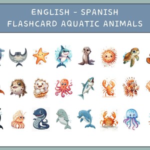 Aquatic Animals Flashcards English and Spanish Vocabulary set of 24 - Etsy