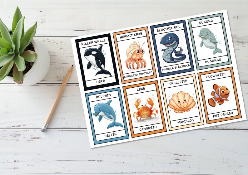 Aquatic Animals Flashcards English and Spanish Vocabulary set of 24 - Etsy