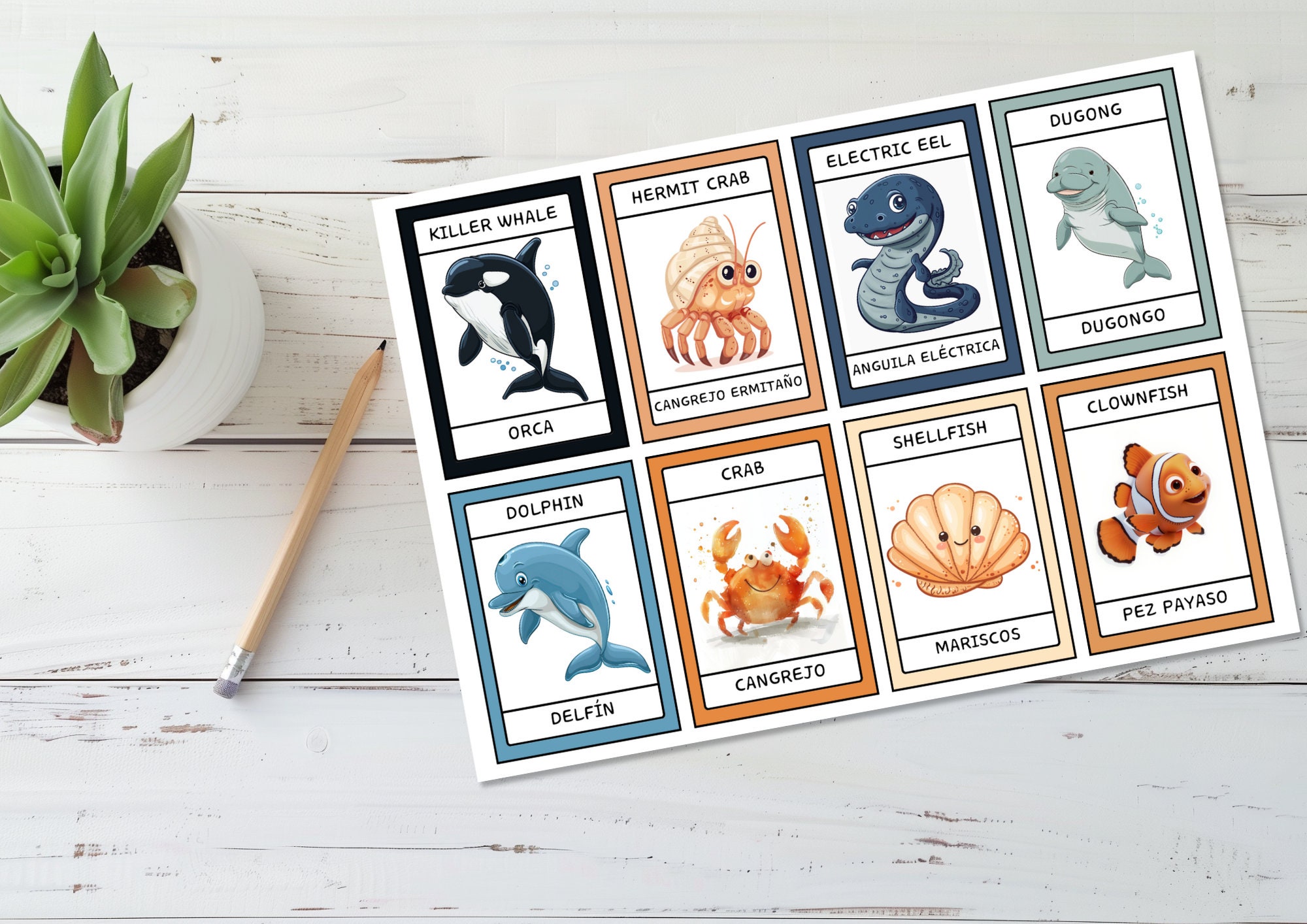 Aquatic Animals Flashcards English and Spanish Vocabulary set of 24 - Etsy
