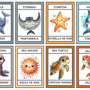 Aquatic Animals Flashcards English and Spanish Vocabulary set of 24 - Etsy