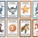 Aquatic Animals Flashcards English and Spanish Vocabulary set of 24 - Etsy