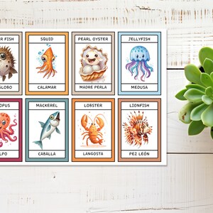 Aquatic Animals Flashcards English and Spanish Vocabulary set of 24 - Etsy