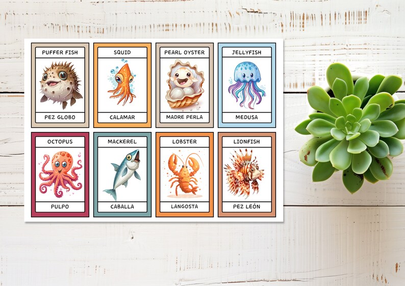 Aquatic Animals Flashcards English and Spanish Vocabulary set of 24 - Etsy