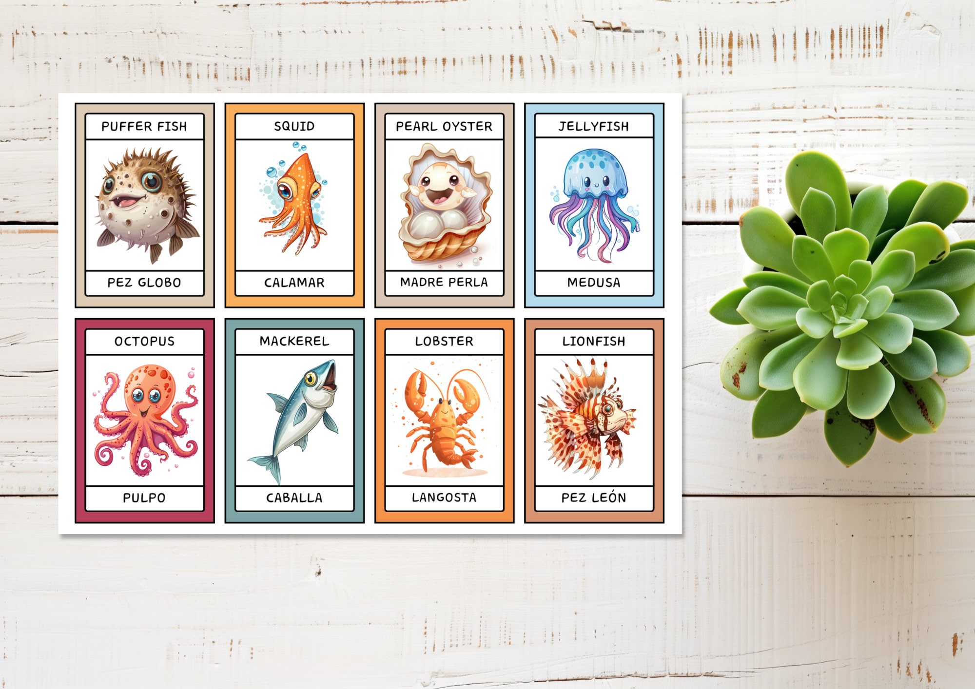 Aquatic Animals Flashcards English and Spanish Vocabulary set of 24 - Etsy