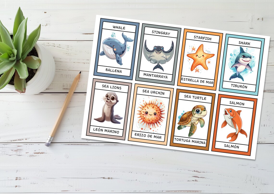 Aquatic Animals Flashcards English and Spanish Vocabulary set of 24 - Etsy