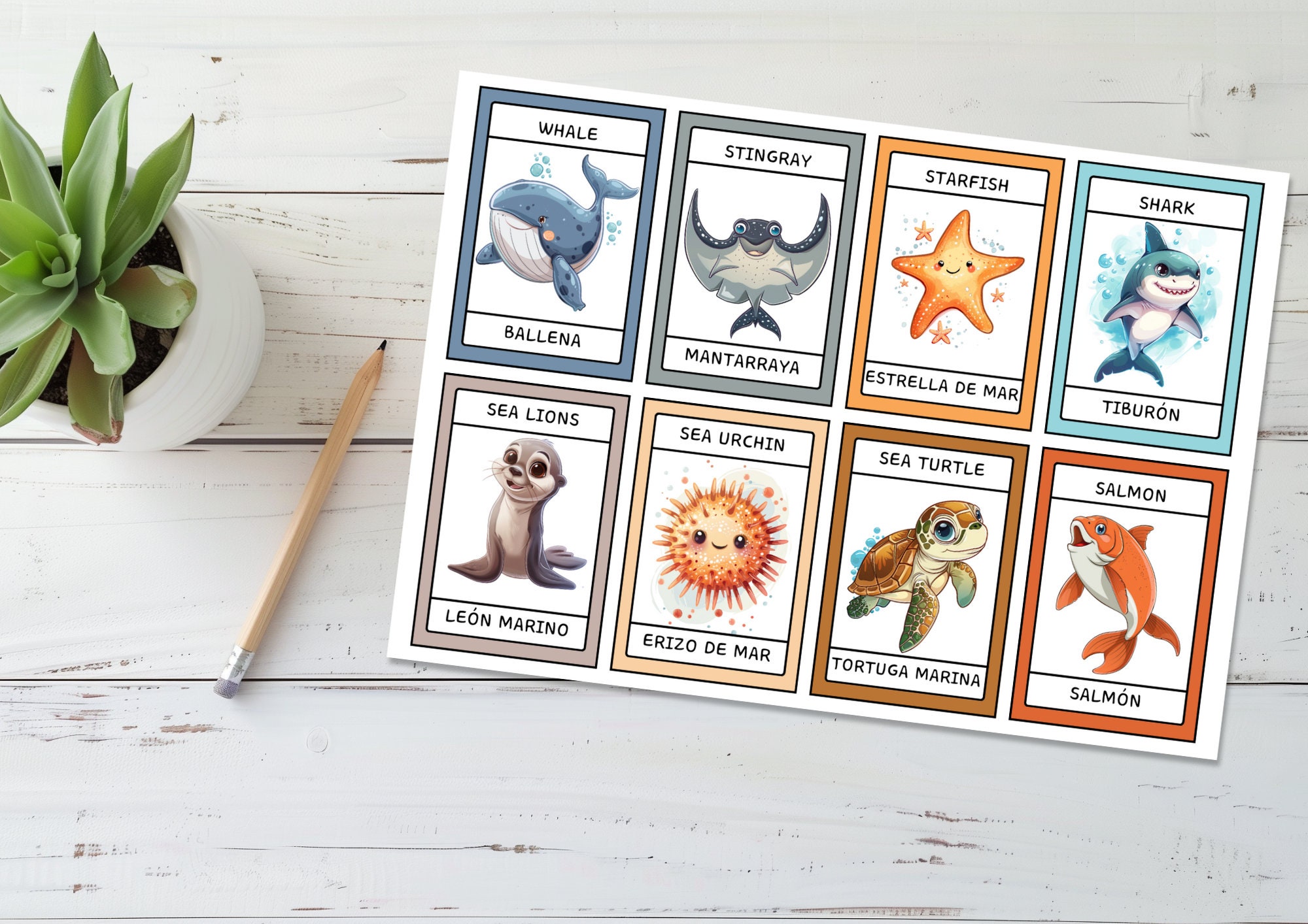 Aquatic Animals Flashcards English and Spanish Vocabulary set of 24 - Etsy