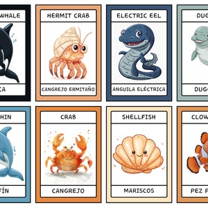 Aquatic Animals Flashcards English and Spanish Vocabulary set of 24 - Etsy