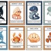 Aquatic Animals Flashcards English and Spanish Vocabulary set of 24 - Etsy
