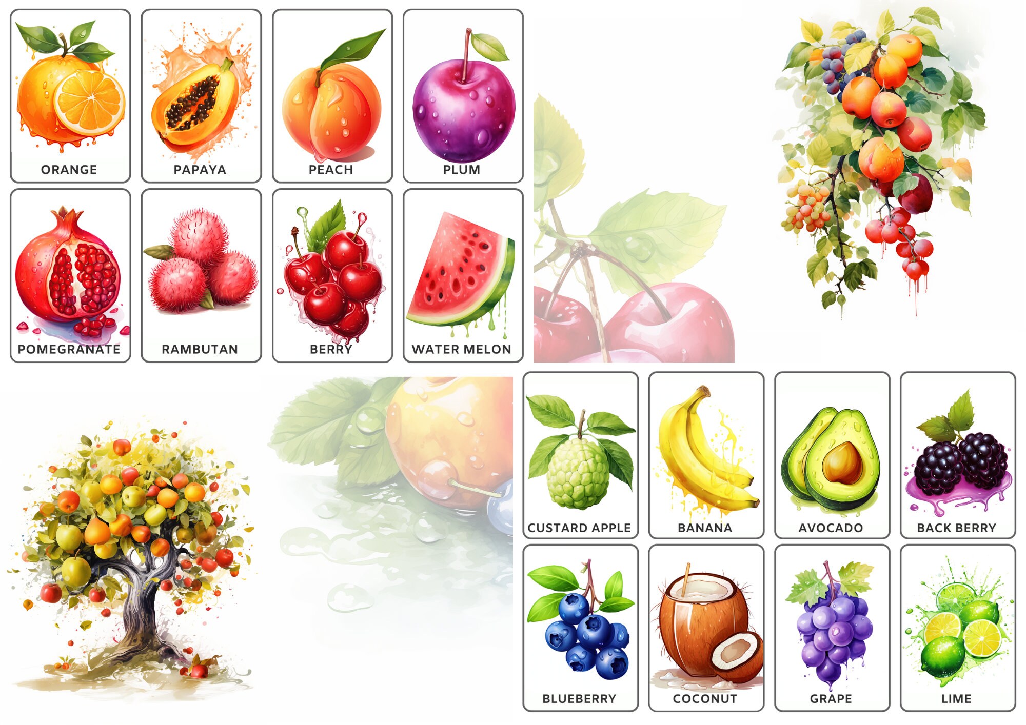 Vibrant Fruit Flash Cards Printable A4 Sheets 8 Fruits, 3 Pages ...