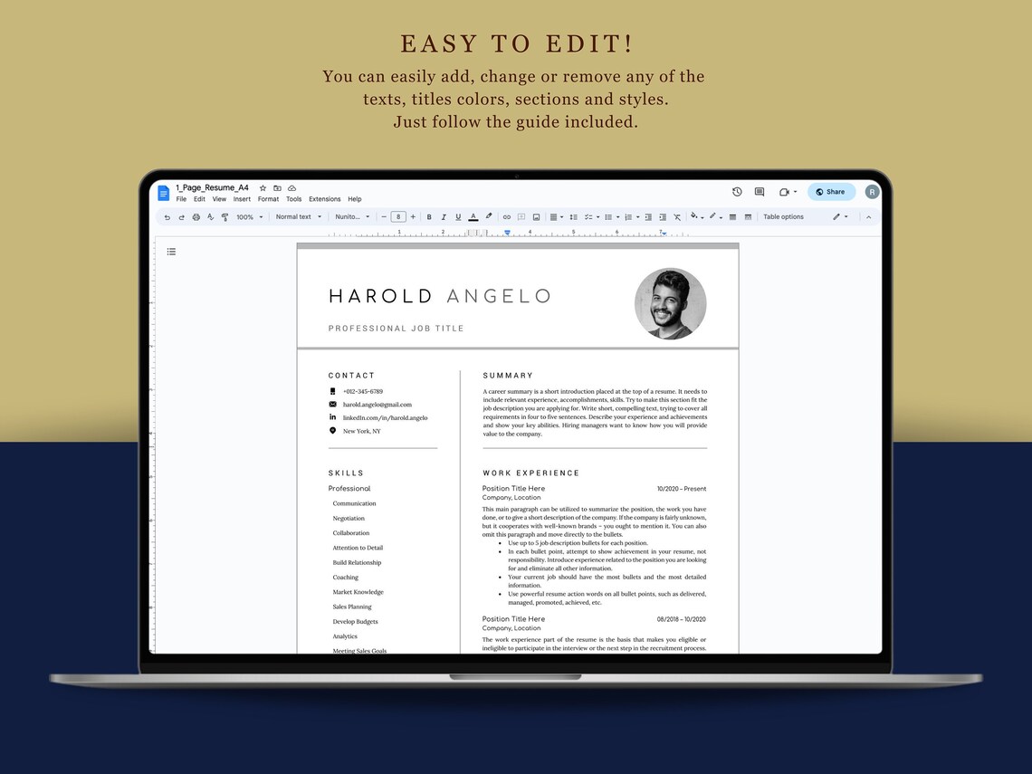 Resume Template, CV Template Google Docs, Professional Resume Template ...