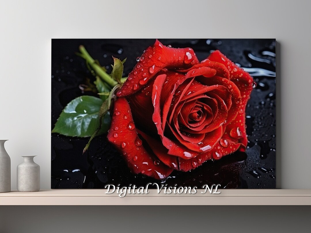 Canvas Wall Art, Red Rose, Black Background - Etsy