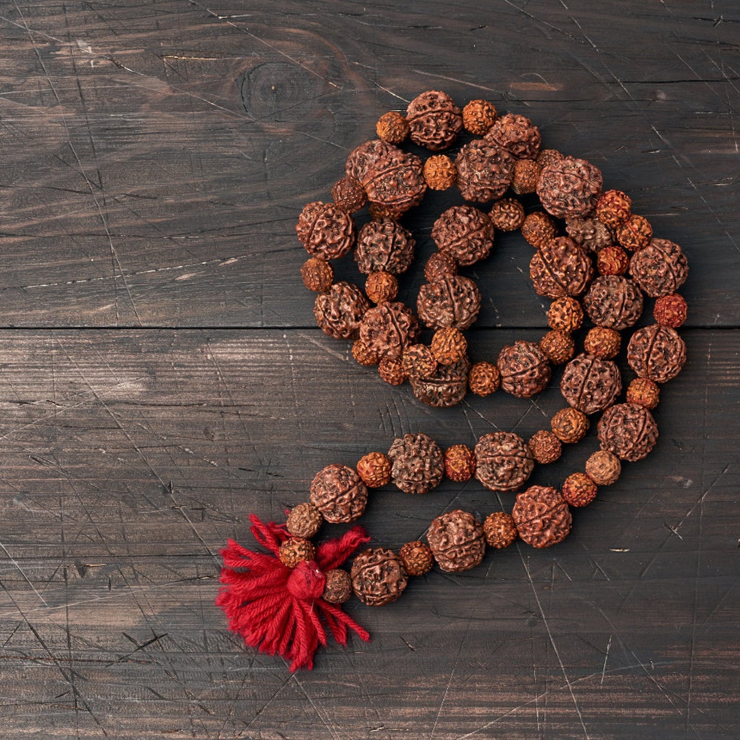 Genuine 1 Rudraksha Seeds, Sacred Hindu Mala Beads, Enhance Meditation ...
