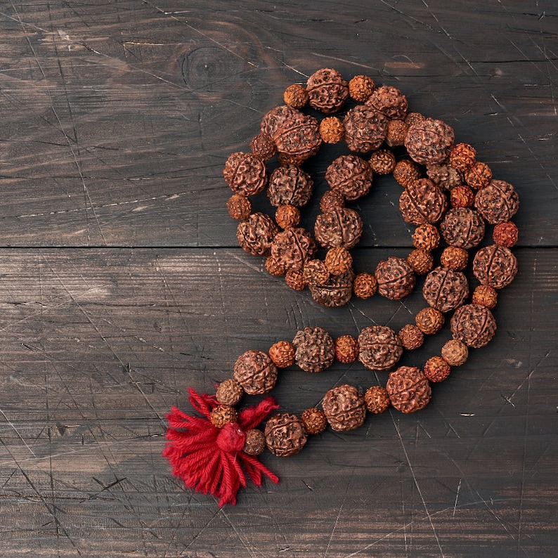 Genuine 1 Rudraksha Seeds, Sacred Hindu Mala Beads, Enhance Meditation ...