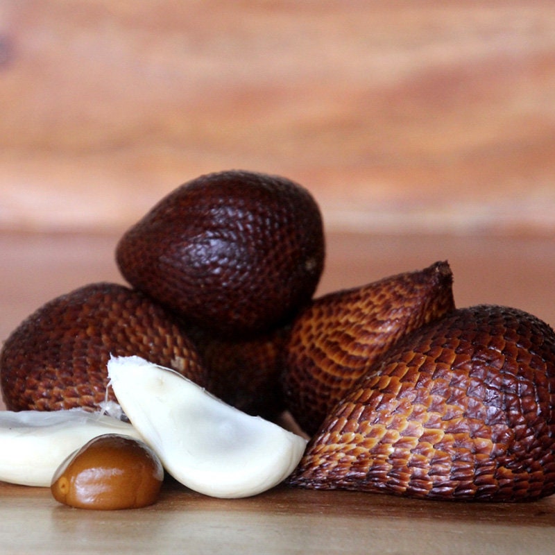 Salacca INDO 3 Pcs Fresh Seeds, Salacca Zalacca, Fruit Palm Seeds ...