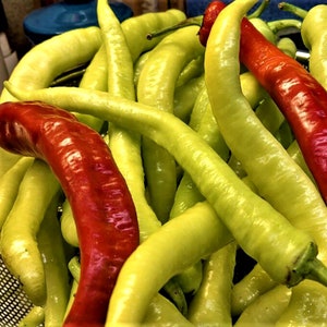 Noom Thai Chili Seeds 10 Organic Green Pepper Seeds, Spicy Home ...