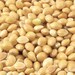 Millet Seed Multipack Choose 50/150/300, High Germination Rate, Ideal ...