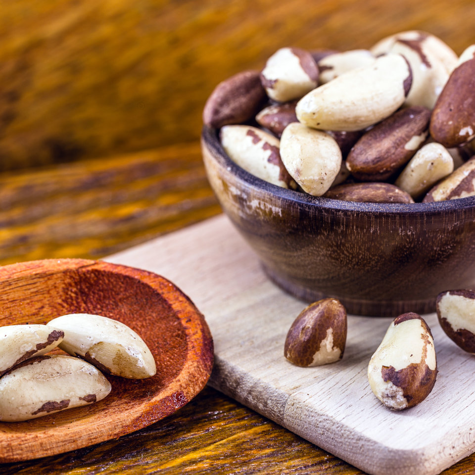 Brazil Nut Tree Seeds 2 Grow Your Own Tropical Plant, Nutritious Snack ...