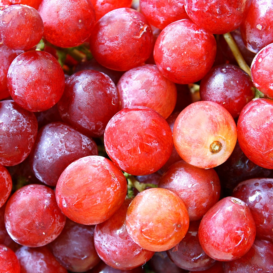Red Globe Grape Seeds 5 Grow Big Luscious Grapes at Home Ideal for Wine ...