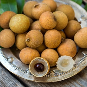 Exotic Longan Seeds 5/30 Pack, Dragon Eye Fruit, Tropical Gardening ...