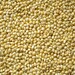 Millet Seed Multipack Choose 50/150/300, High Germination Rate, Ideal ...